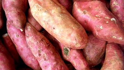 Oficios, lugares, libros, recomendaciones y más...: El camotero