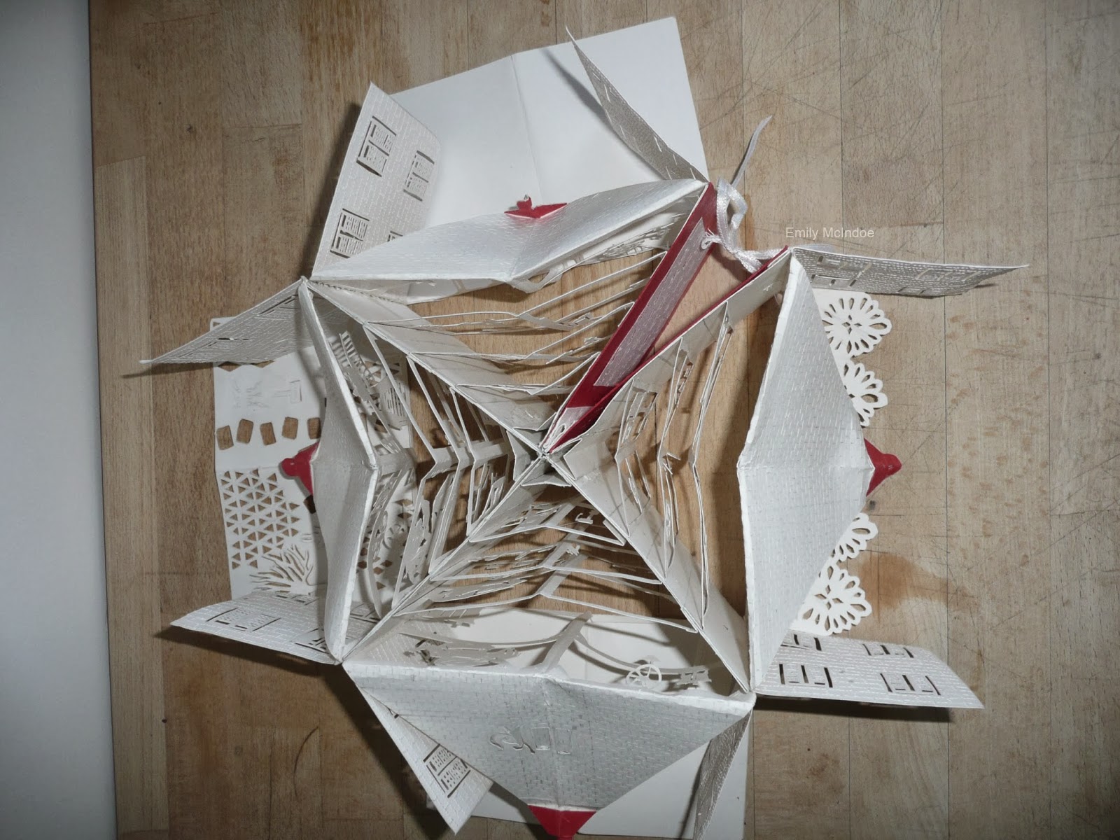 Pop Up House Book (2013)