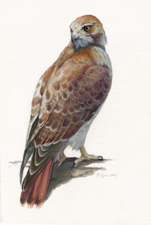 Featherseeds: Color Practice - Using a Gamut Mask