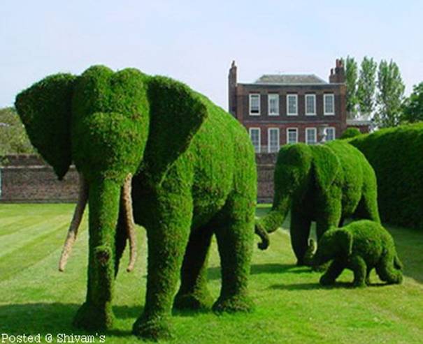 [www.keralites.net] 15 Best Topiary Models of the World!!! ~ Best ...