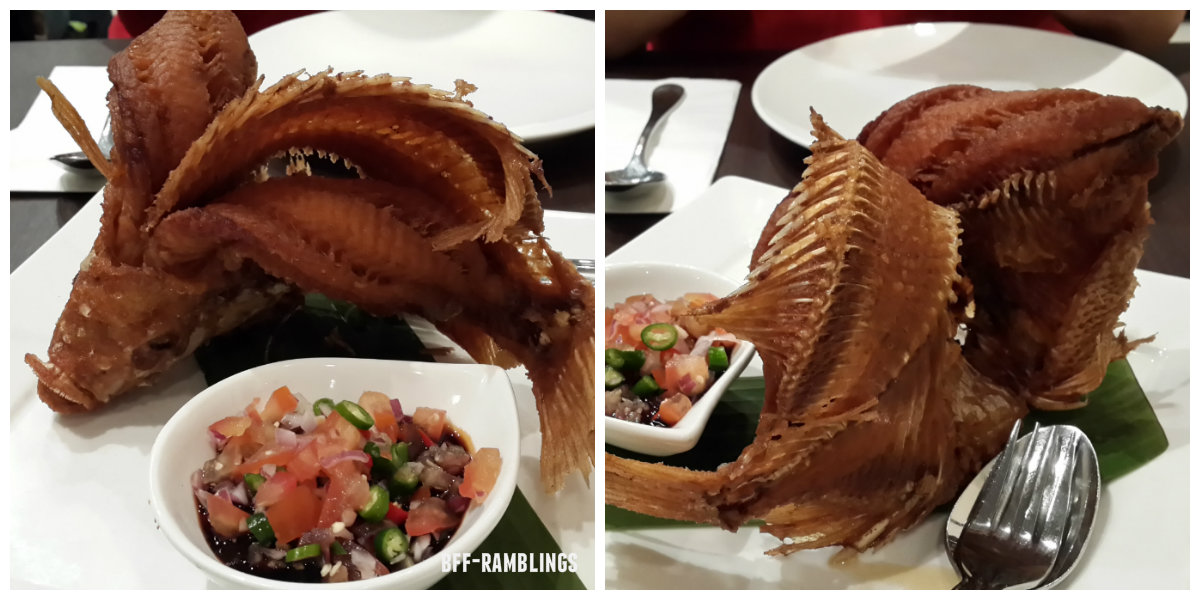 BFF RAMBLINGS: Dancing Fish BSC