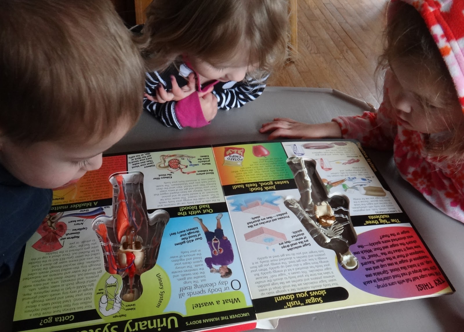 Little Stars Learning: Our Body - Week 1 Body Parts - Day 1 Skeleton