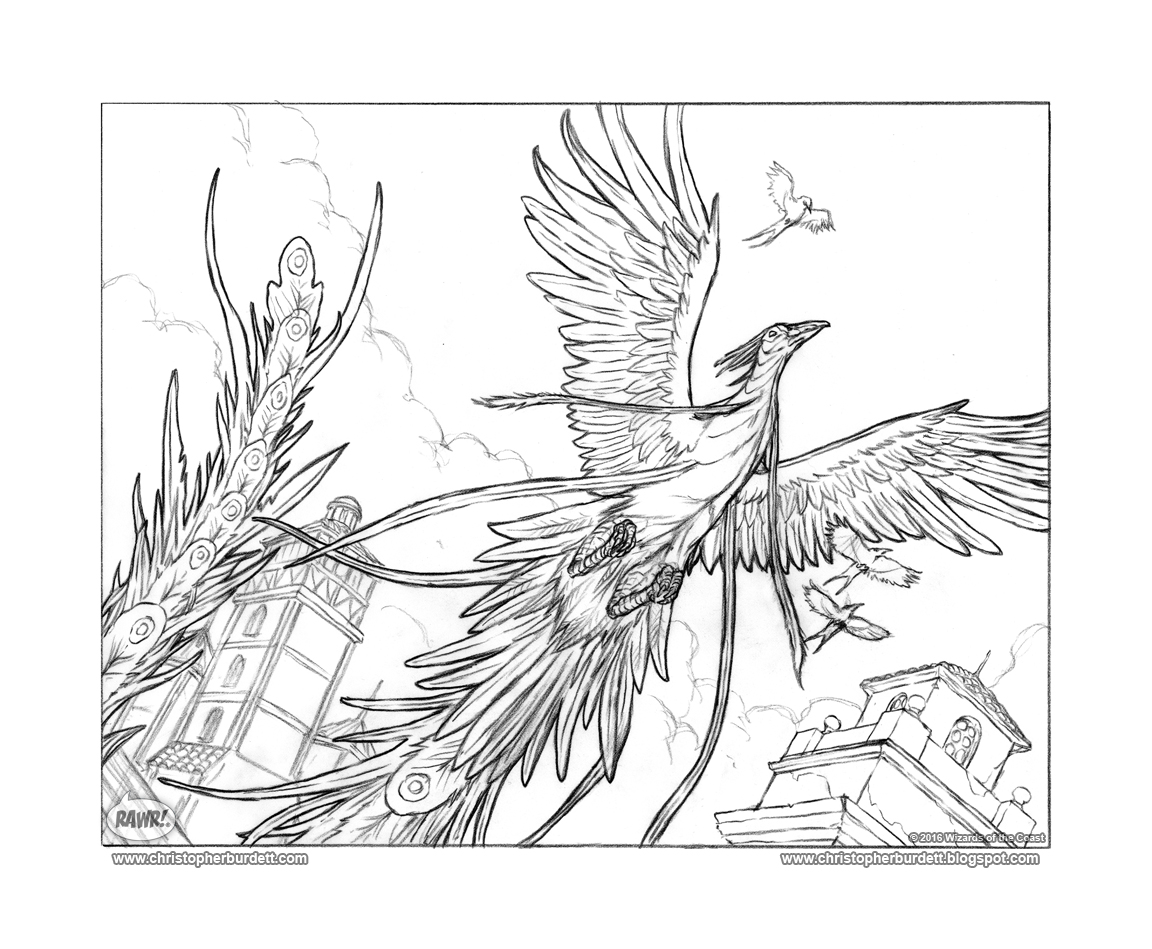 The DOODLES, DESIGNS, and aRT of CHRISTOPHER BURDETT: Coveted Peacock ...