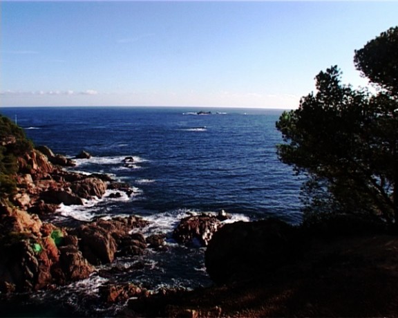 El temps a Palamós: La reserva de les illes Formigues, aturada