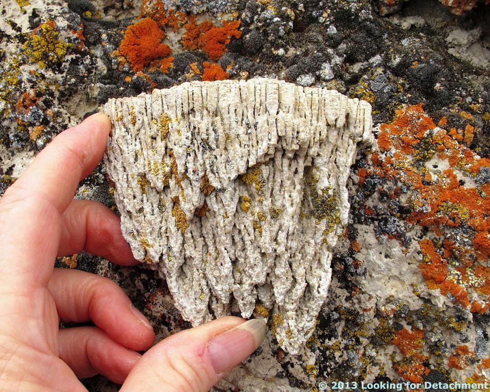 Looking For Detachment: Textures from a Tufa Dome III