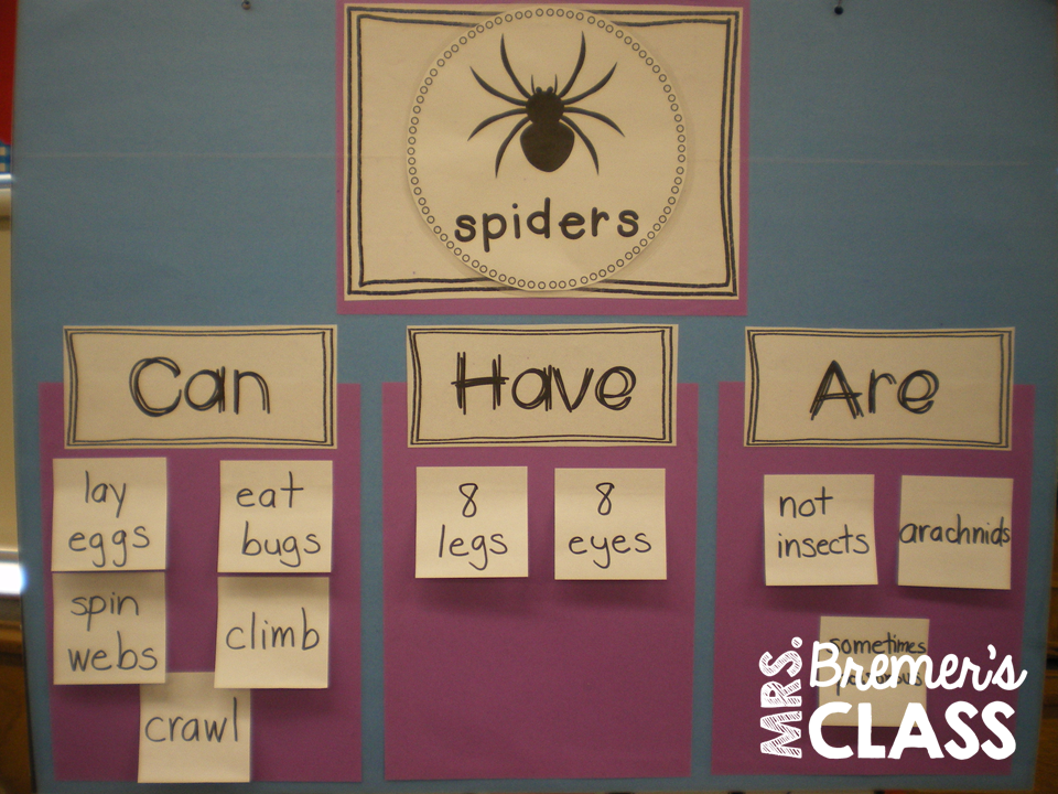 Anchor Charts {How to make them Interactive, Accessible, and Permanent ...