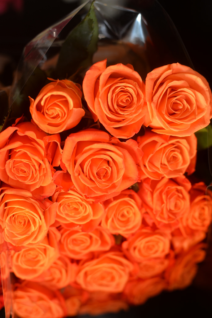 { Beautiful }Orange Roses Images Pics Wallpaper Photos Bouquet in HD ...