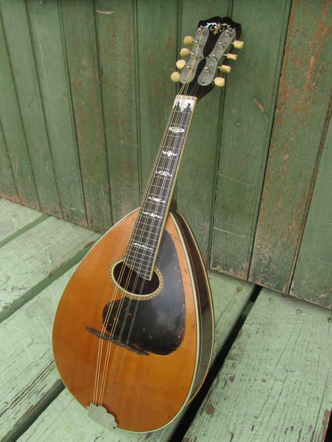 c.1915 Weymann Style 50 Mandolute Mandolin