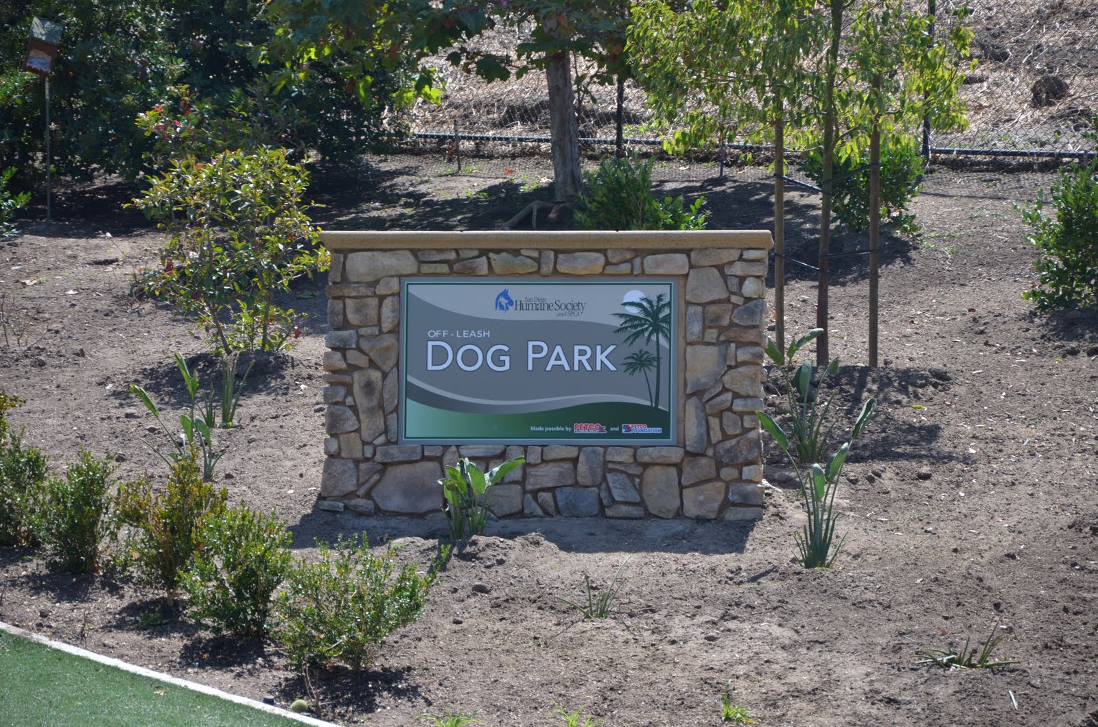 Dog Park