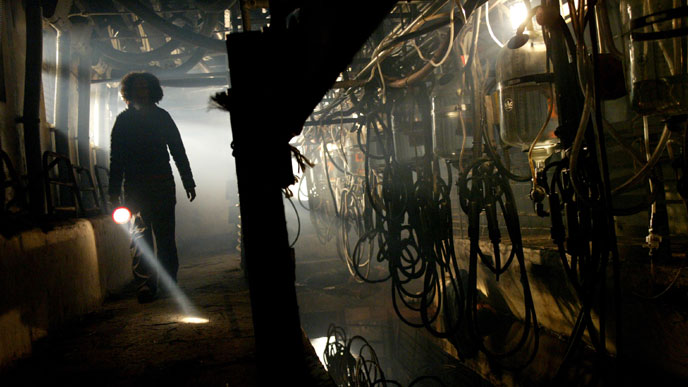 HORROR 101 with Dr. AC: ISOLATION (2005) movie review