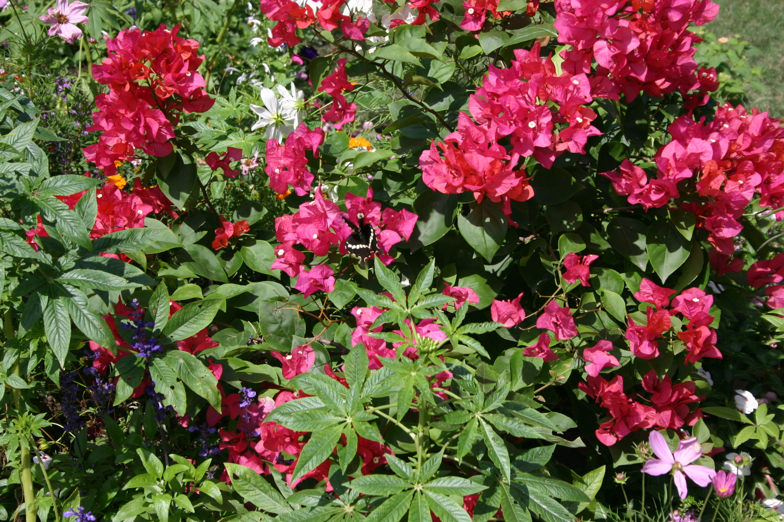 Tiddy and Charlie go global!: Pretty Chinese things.