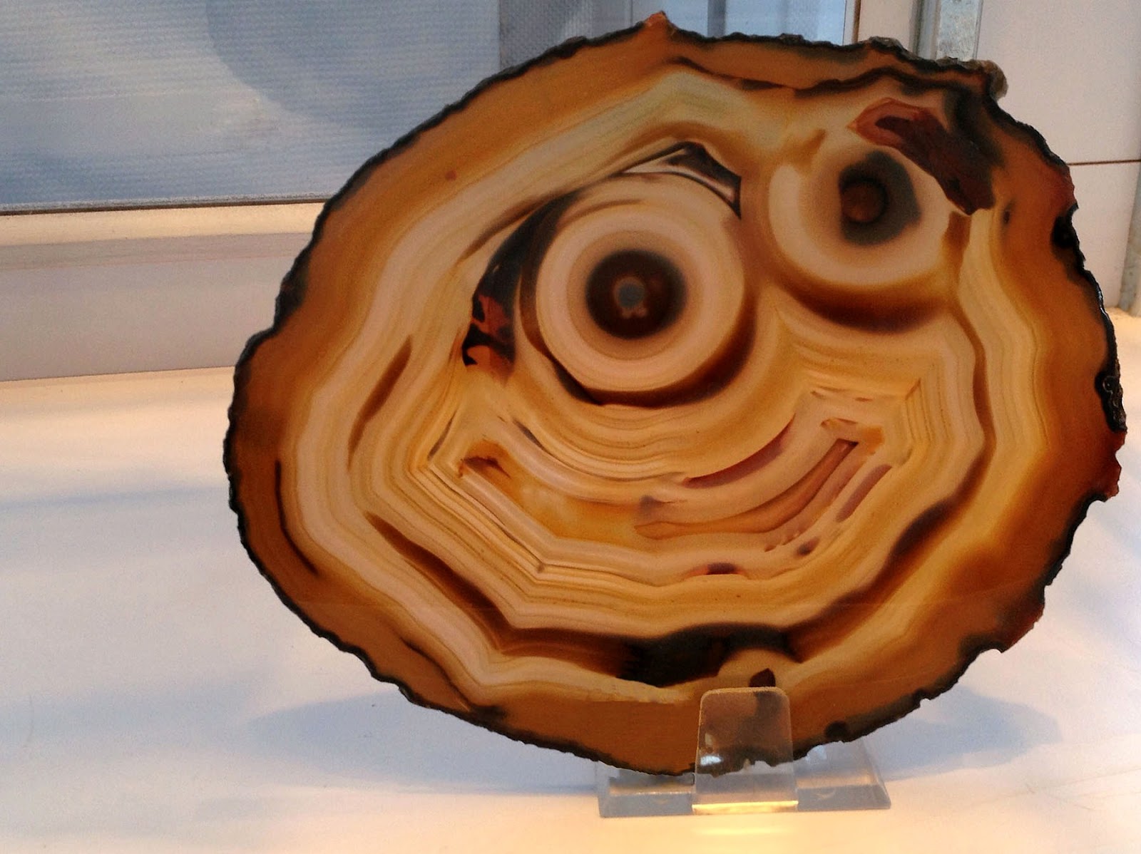 Funny Weird Agate Specimens You Should See - Geology In
