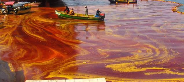 TOWARDS A SAFER WORLD