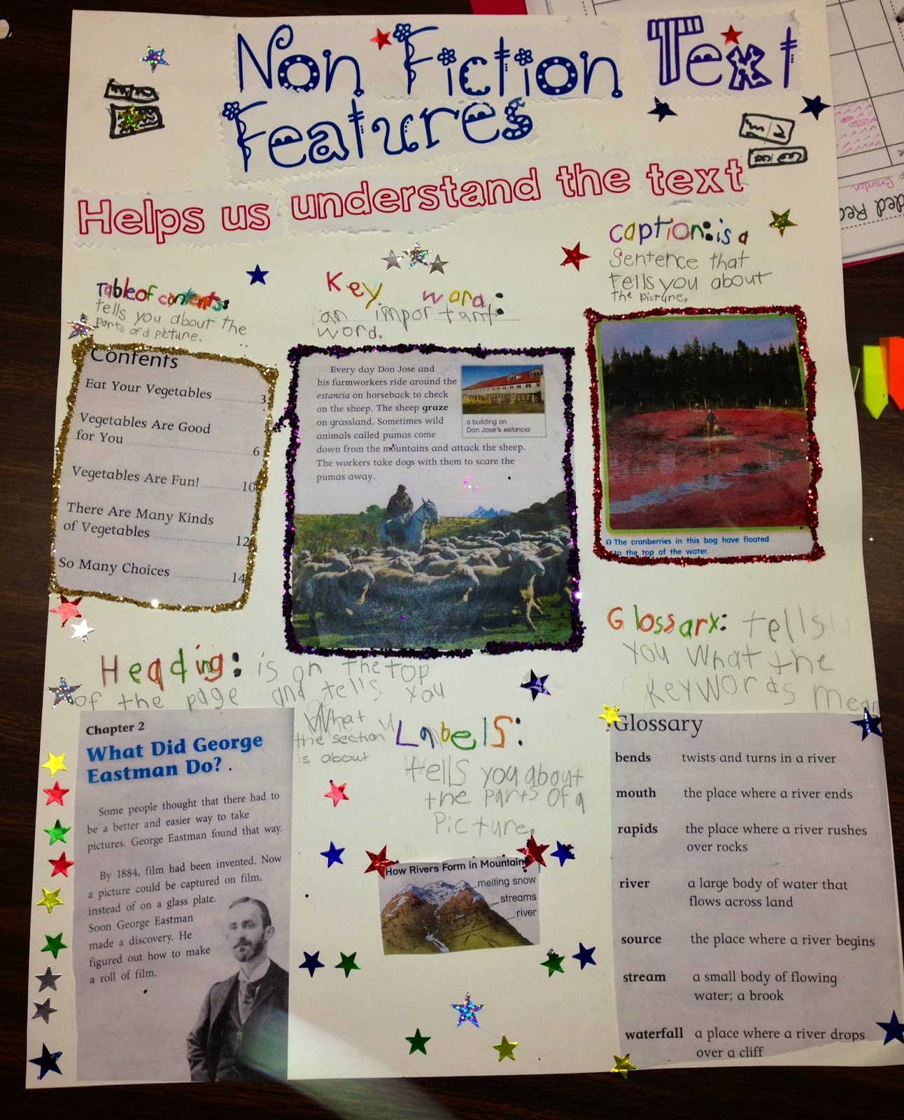 Thrills and Frills in First: Non-Fiction Text Features and a Freebie