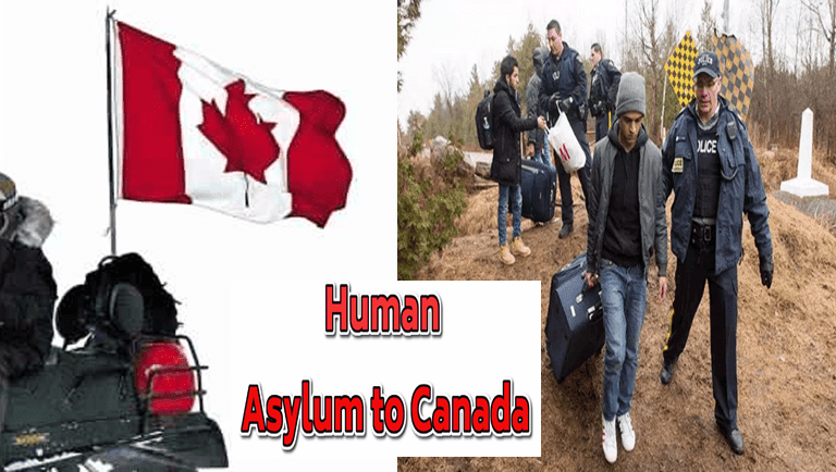 7 Ways to Apply for Human Asylum to Canada