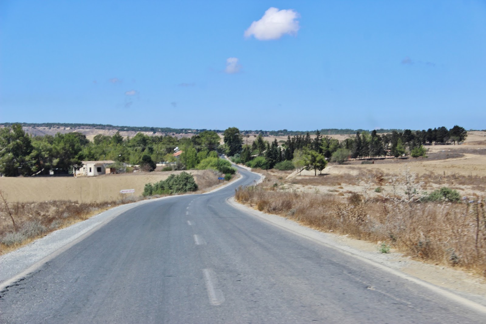 Biodiversity of Cyprus by NGO Protection of the Natural Heritage and ...