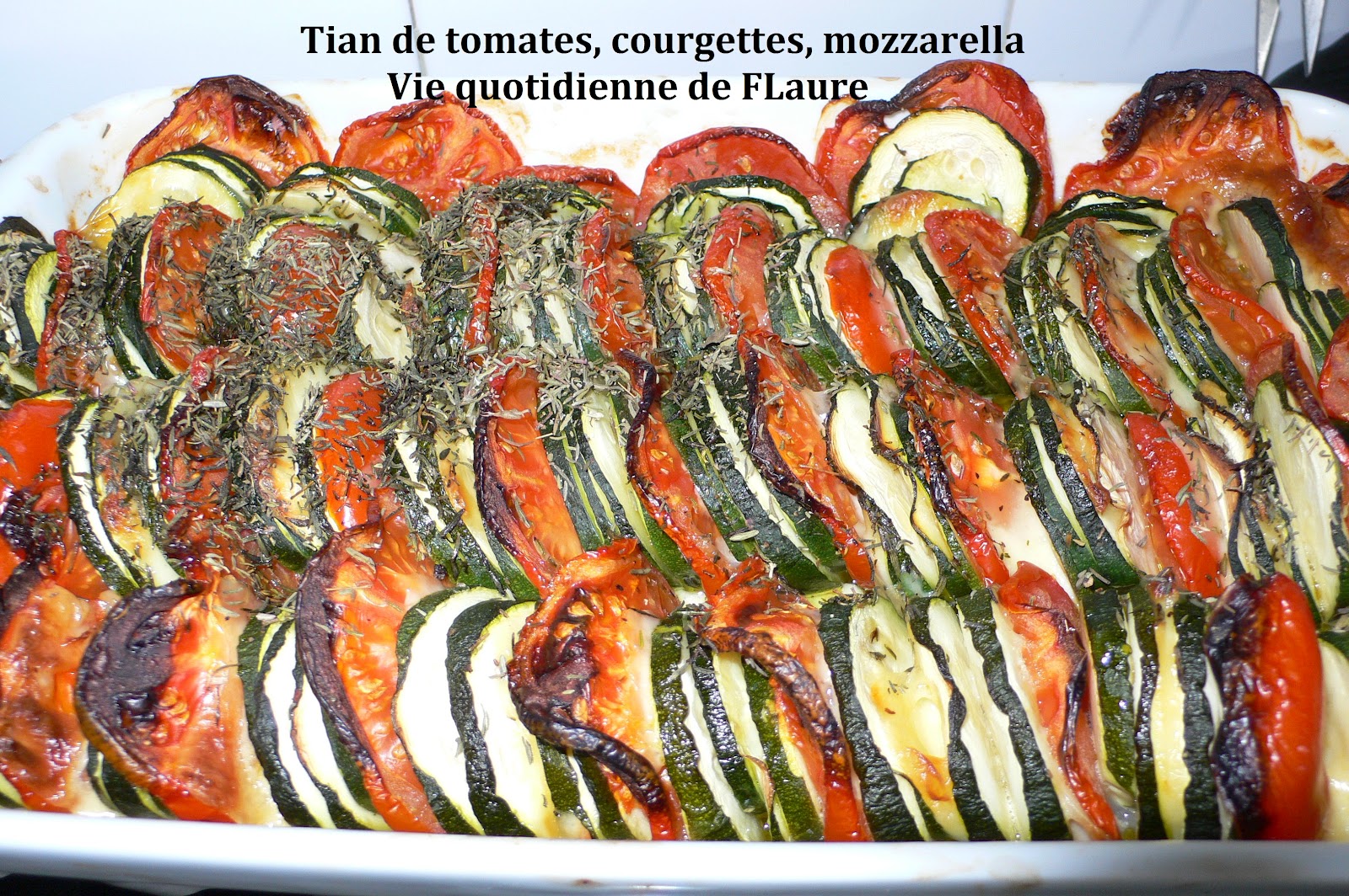 Tian de tomates, courgettes et mozzarella