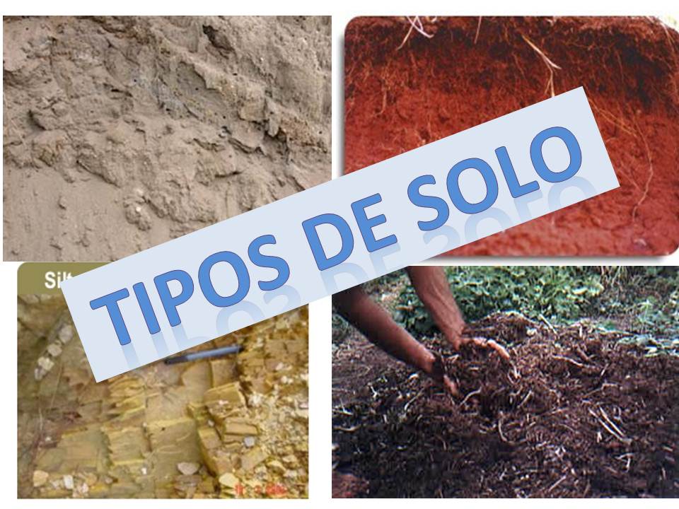 Cantinho da Bio: 6º ANO - TIPOS DE SOLO