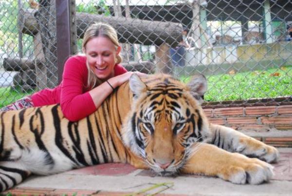 GEOGRAFI LINGKUNGAN: HARIMAU ; KUCING BESAR LORENG PENGUASA RIMBA BELANTARA