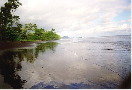 Team Cameroun: Limbe