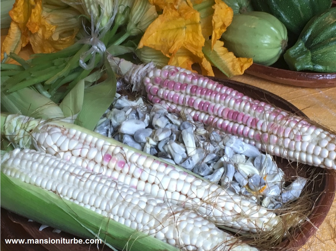 Delicacies of Pre-Hispanic Cuisine