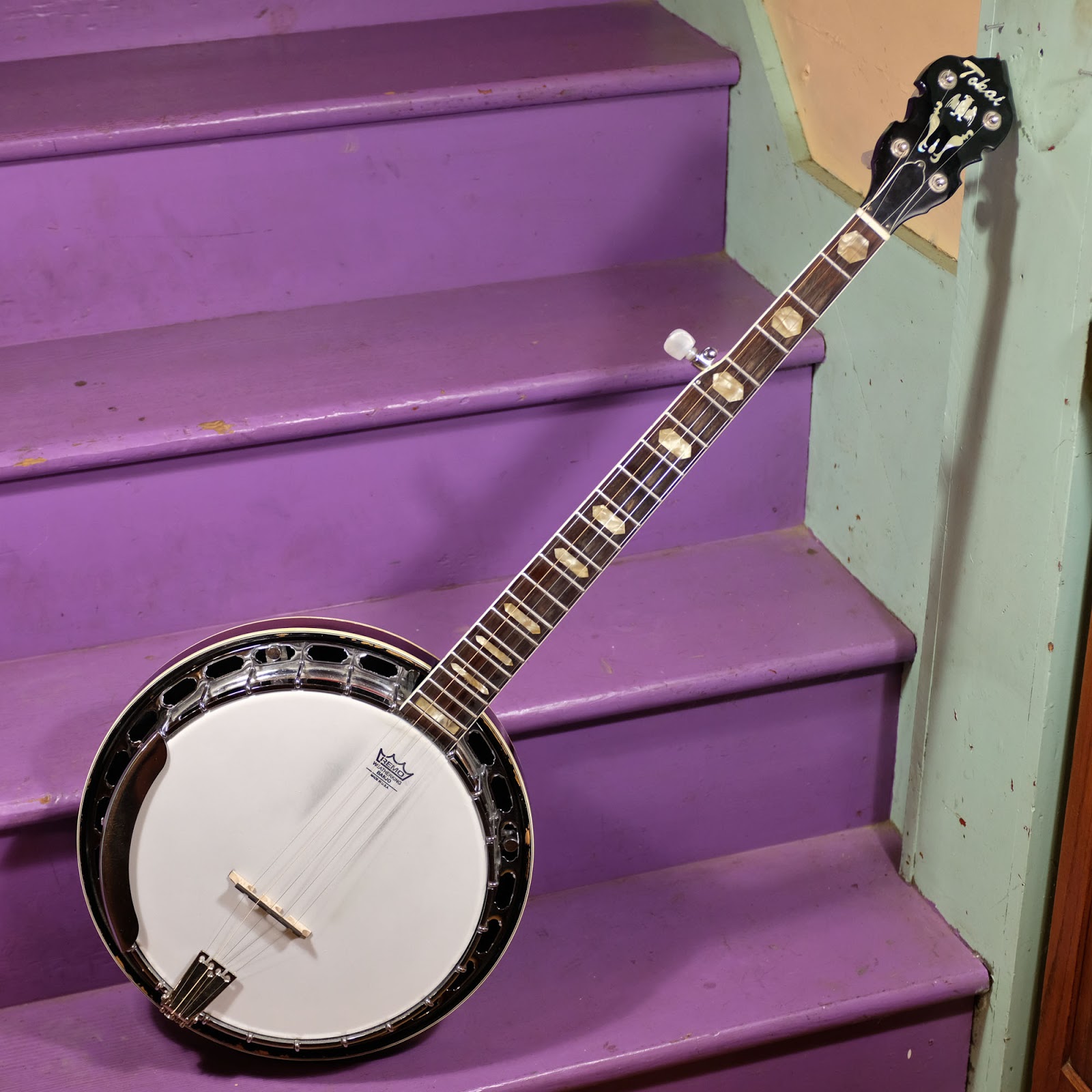 1970s Tokai T-600R "Masterclone" 5-String Resonator Banjo