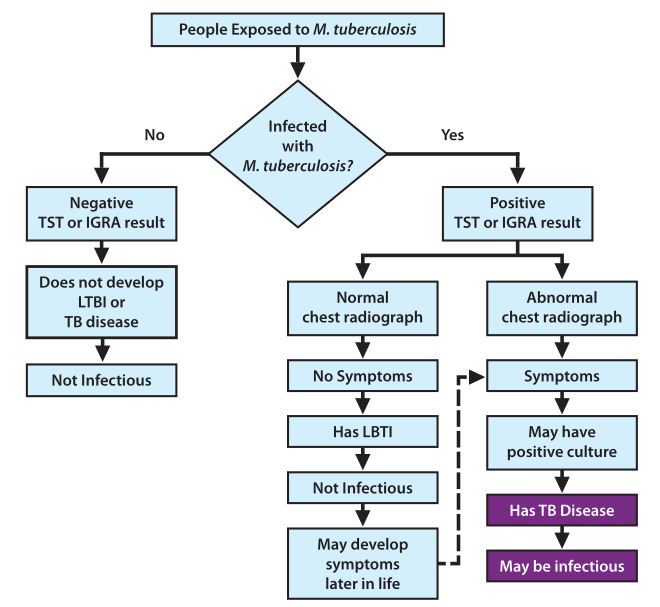 Tuberculosis (TB): Mechanism