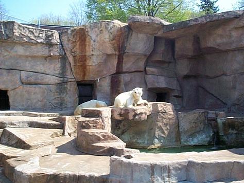 Primate Freedom: The Henry Vilas Zoo