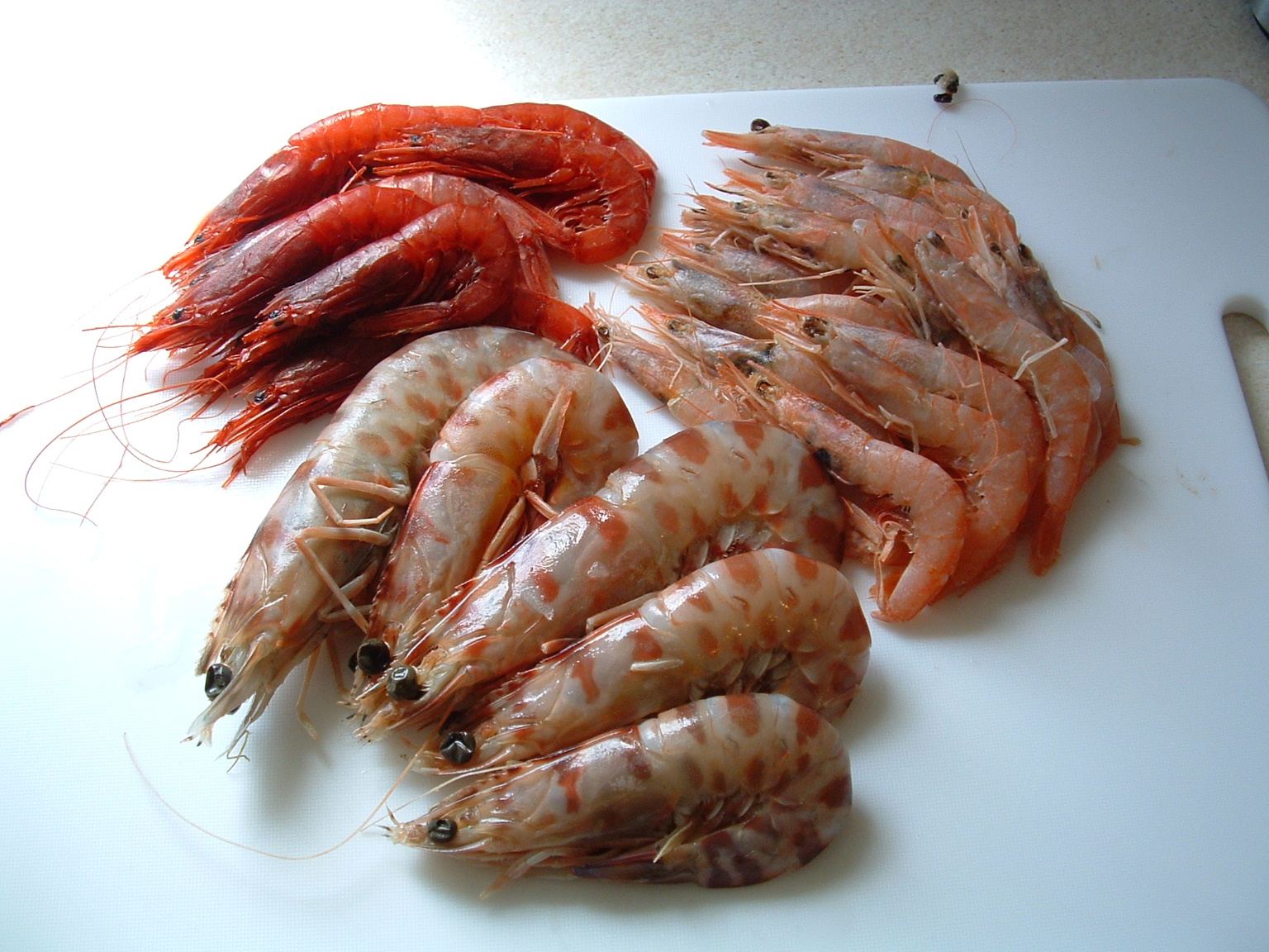 A London Fishmonger: Wild Mediterranean Prawns - Rosso, Rosa & Mazzancolle