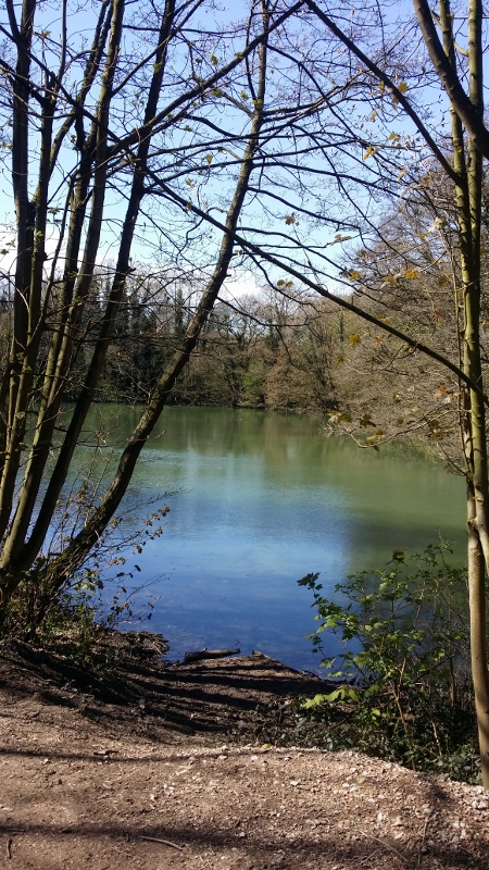 Lucy's Wednesday walks: Himley to Baggeridge - a popular Black Country walk