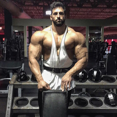 world bodybuilders pictures: usa bodybuilder Andy Velcich