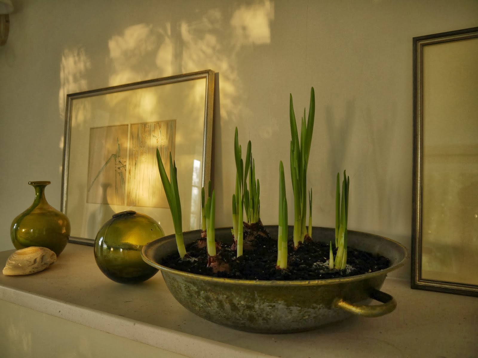 USEFUL or BEAUTIFUL: The Play of Light on Domestic Objects