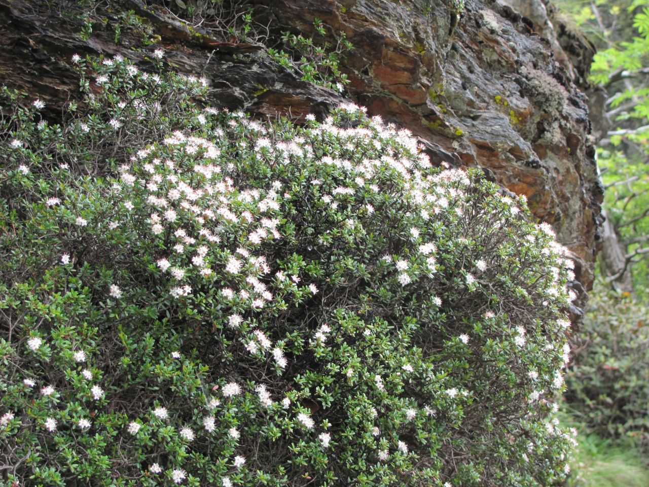 Blue Roads to Hiking Trails: Alum Cave Trail to Mt LeConte Lodge