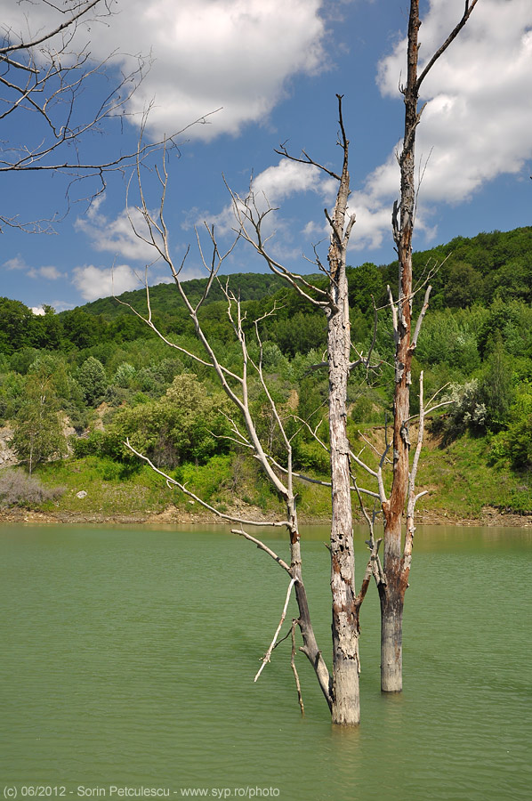 Sorin Petculescu - Blog de Fotografie - www.sorinpetculescu.ro: Maneciu ...
