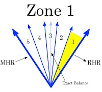 Paradoxical Parenting: In The Zone