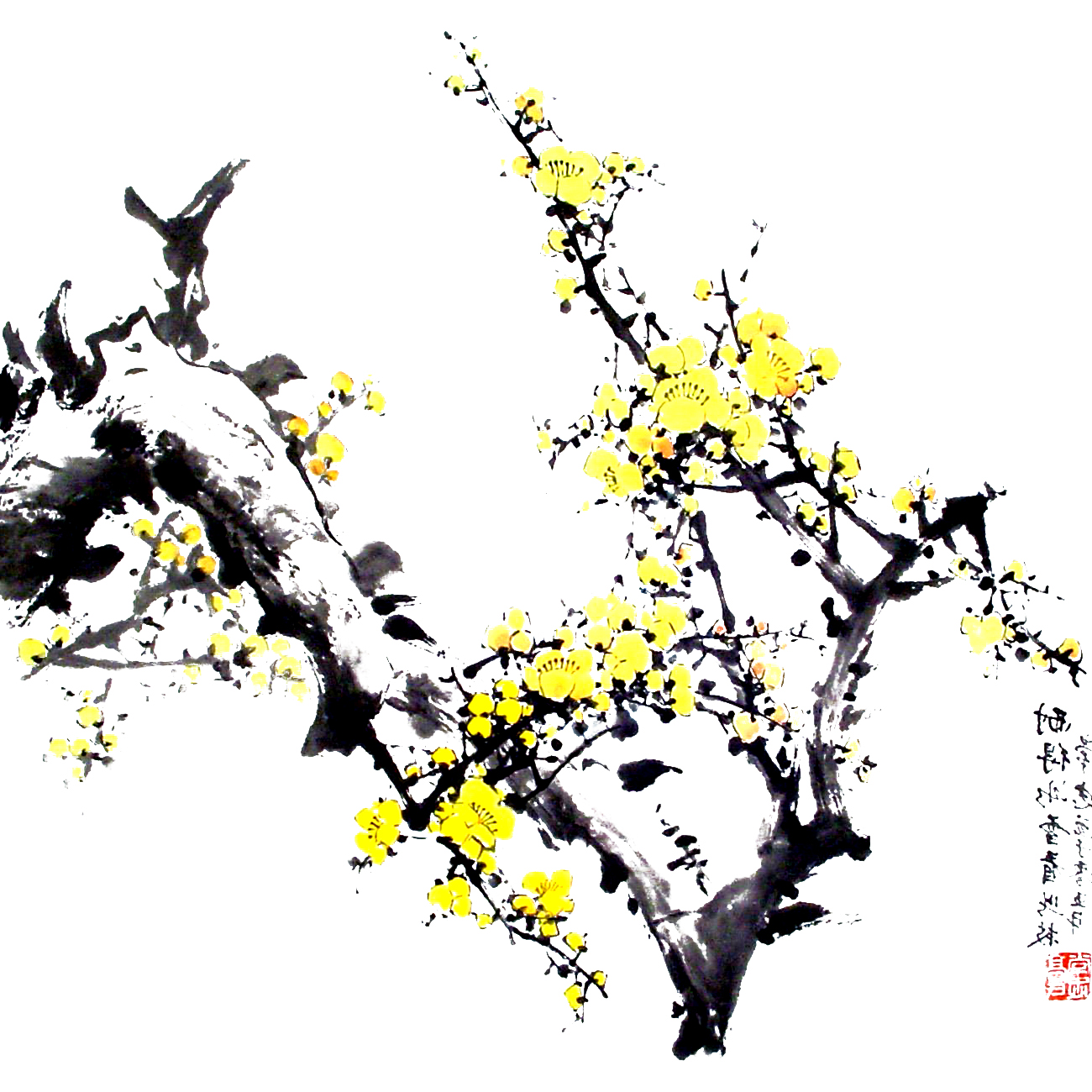 vietsinhvienit: cành mai vector