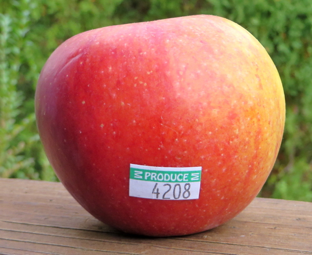 How Much Is A Story Worth Adam s Apples How Much Is A Story Worth Adam s Apples