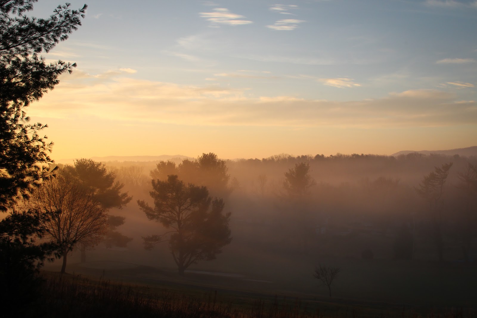 A Suburban Wilderness: Foggy Morning Sunrise Rant
