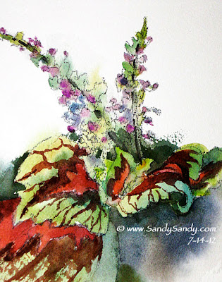 *Sketching Every Day*: Drawing Plants and Animals