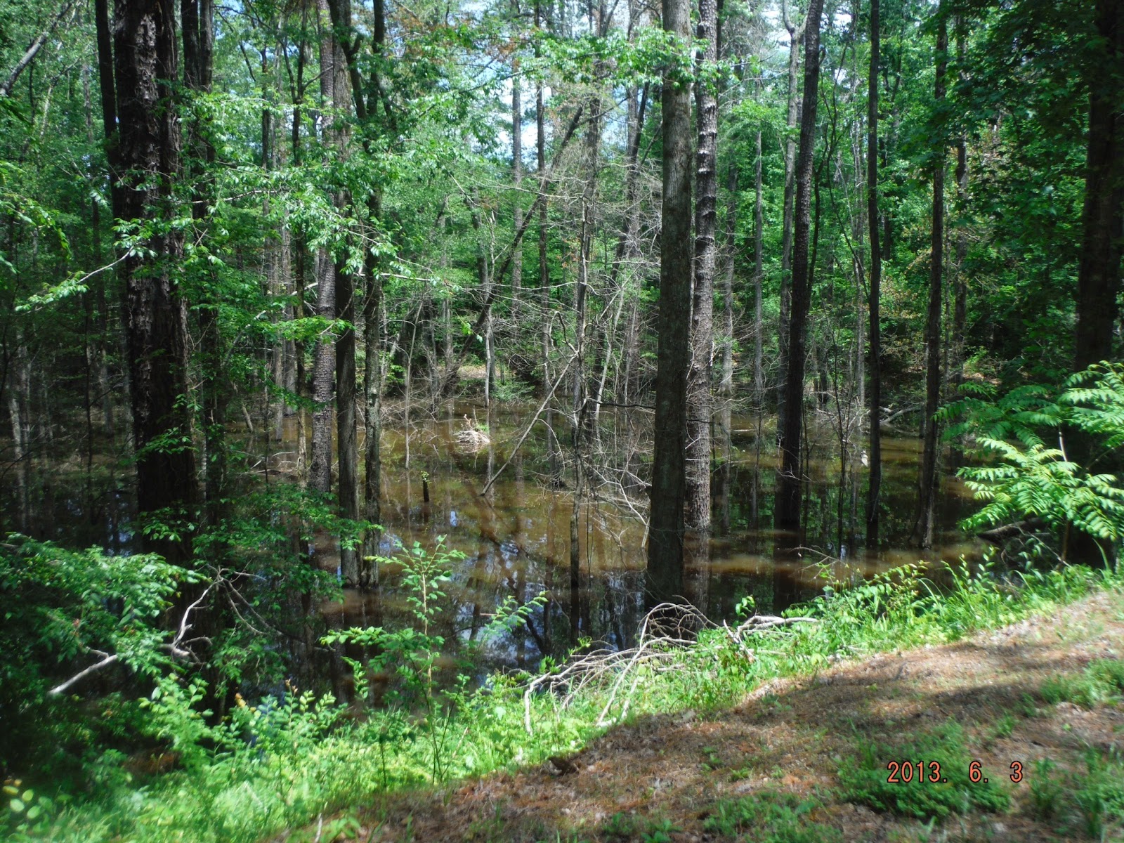 Mississippi River Trail 2013: Y'all com back now, Mathiston, Mississippi