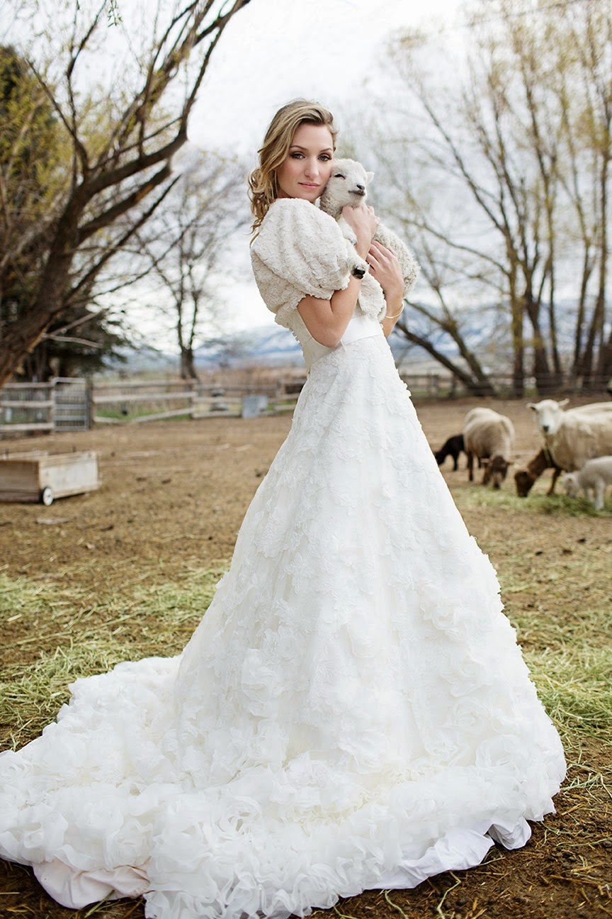 Montana Wedding Blog by Montana Bride: The Year of The Sheep