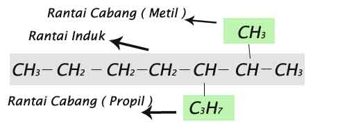 Tata Nama Senyawa Alkana ( Part Ii ) - Atap Ilmu