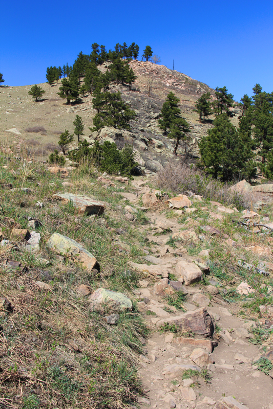 Colorado Lifestyle: Hogback
