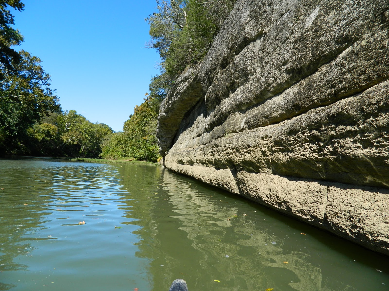 Paddle Tennessee: Duck River Haskins Chapel Road to Henry Horton State Park