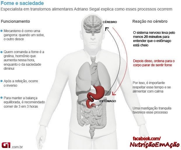 NUTRI POINT : Controle da Ingestão Alimentar