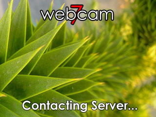 intitle:webcam 7 inurl:8080 -intext:8080 | Google Dorking