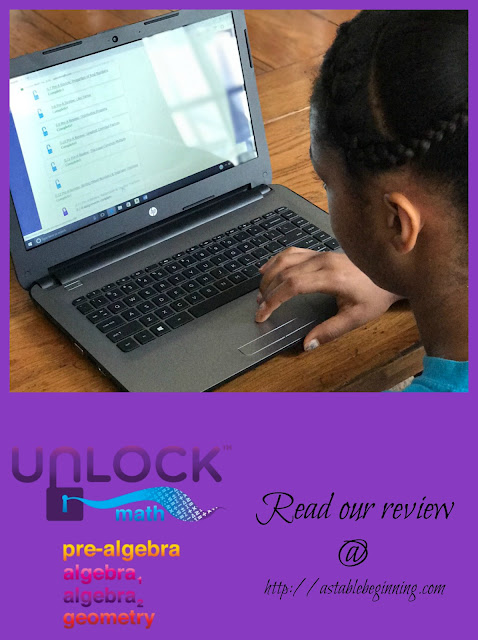 A Stable Beginning: UnLock Math: Algebra 1 ~ a TOS review