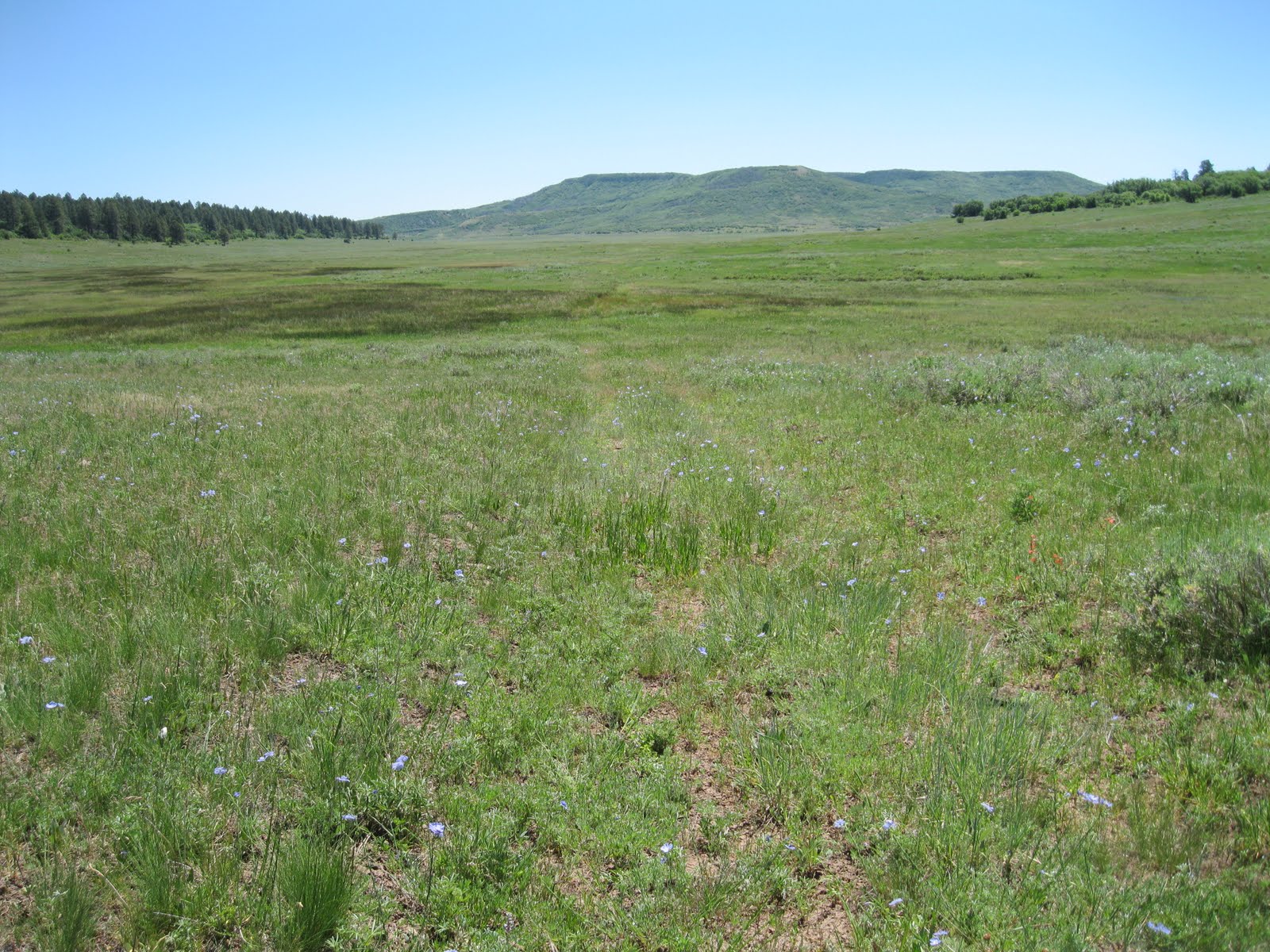 Four Corners Hikes-Dolores River Valley Colorado: Glade Guard Station ...