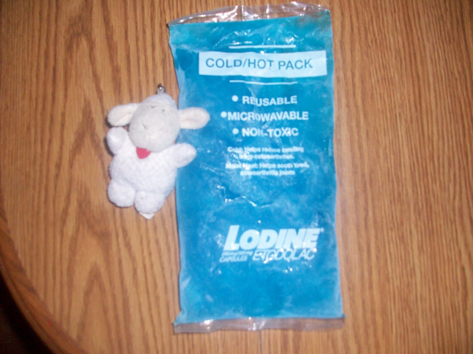 AP BIOLOGY PROJECT!!!: Endothermic Reactions