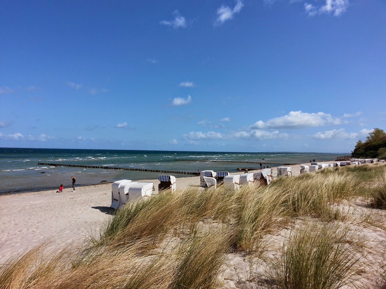 Henning und die Welt: Impressionen von der Insel Poel